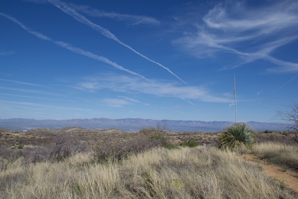Oracle State Park | The Complete Guide to Arizona