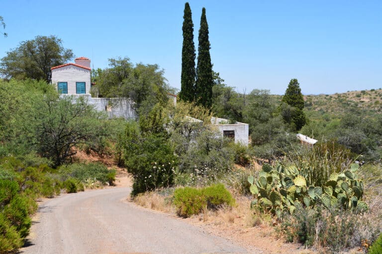 Oracle State Park | The Complete Guide to Arizona