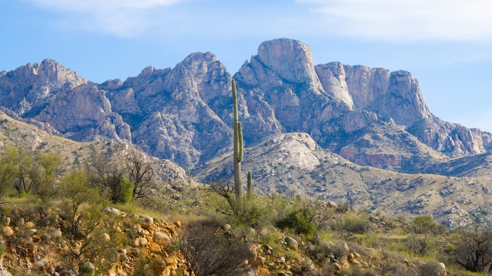 Catalina State Park | The Complete Guide to Arizona