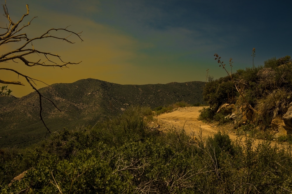 Crown King | The Complete Guide to Arizona