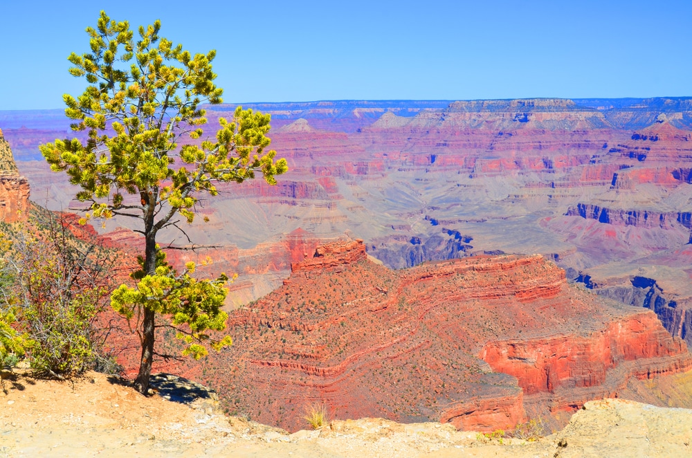 Grand Canyon-Parashant National Monument | The Complete Guide to Arizona