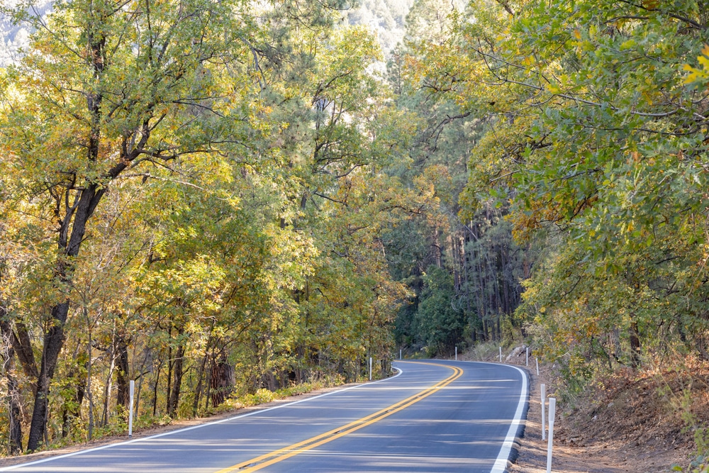 Coconino National Forest | The Complete Guide to Arizona