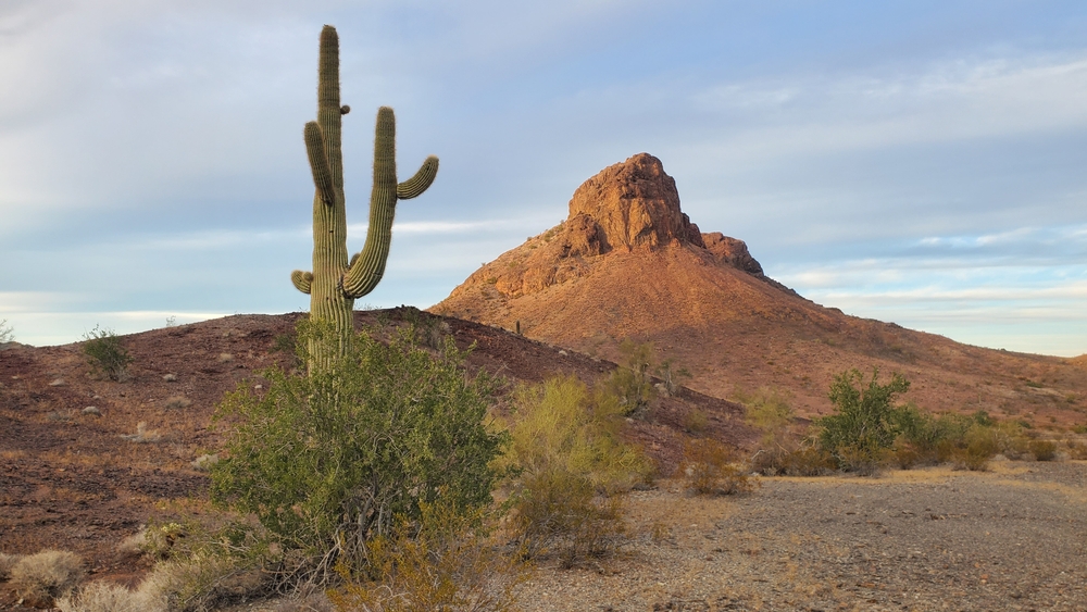 Camp Bouse | The Complete Guide to Arizona