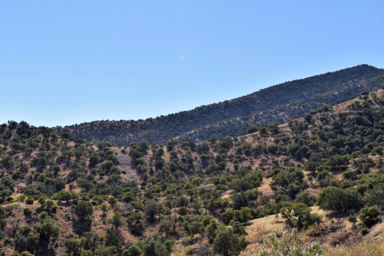 Fort Huachuca | The Complete Guide to Arizona